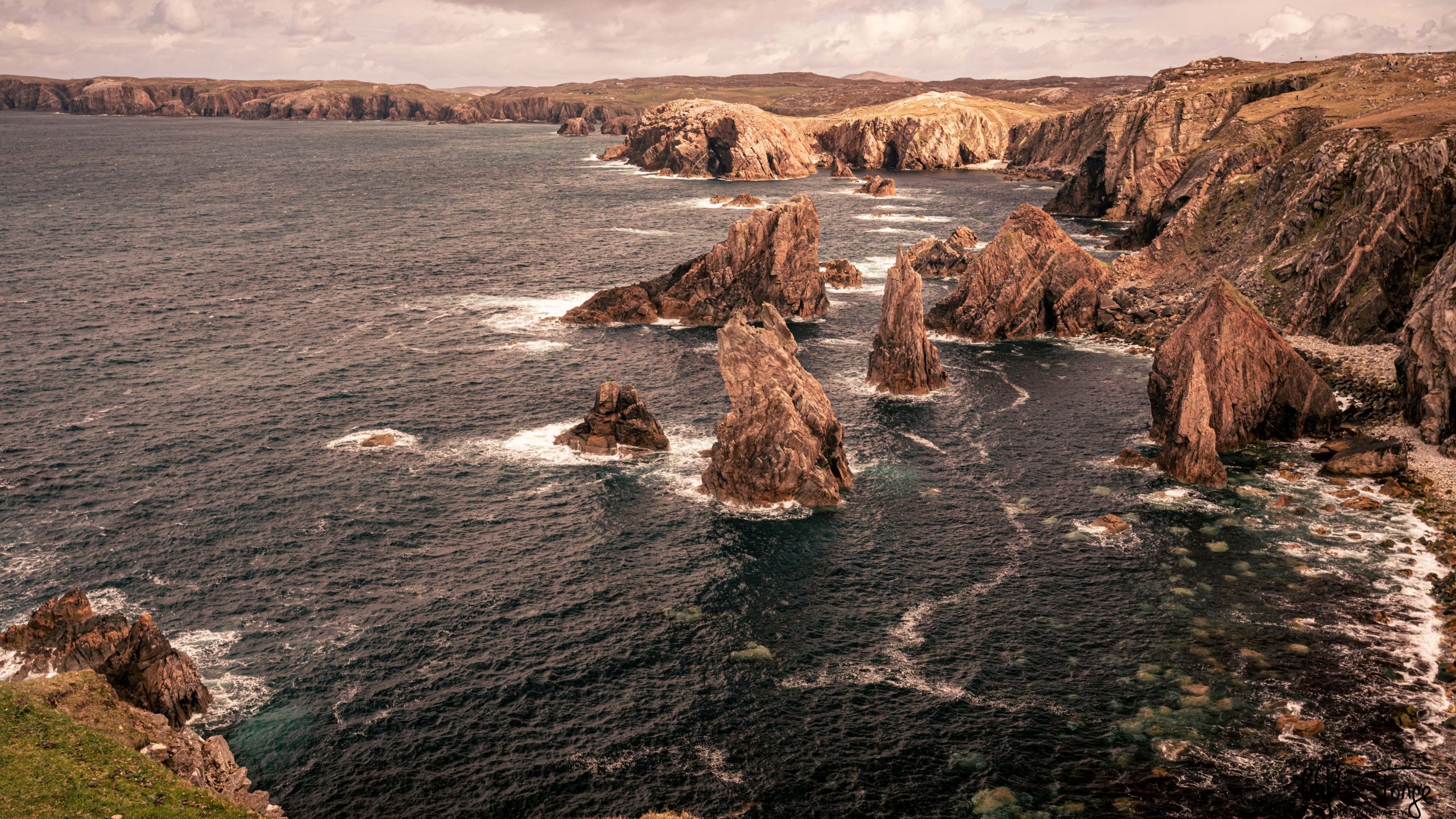 Welcome - Hebridean Shellfish